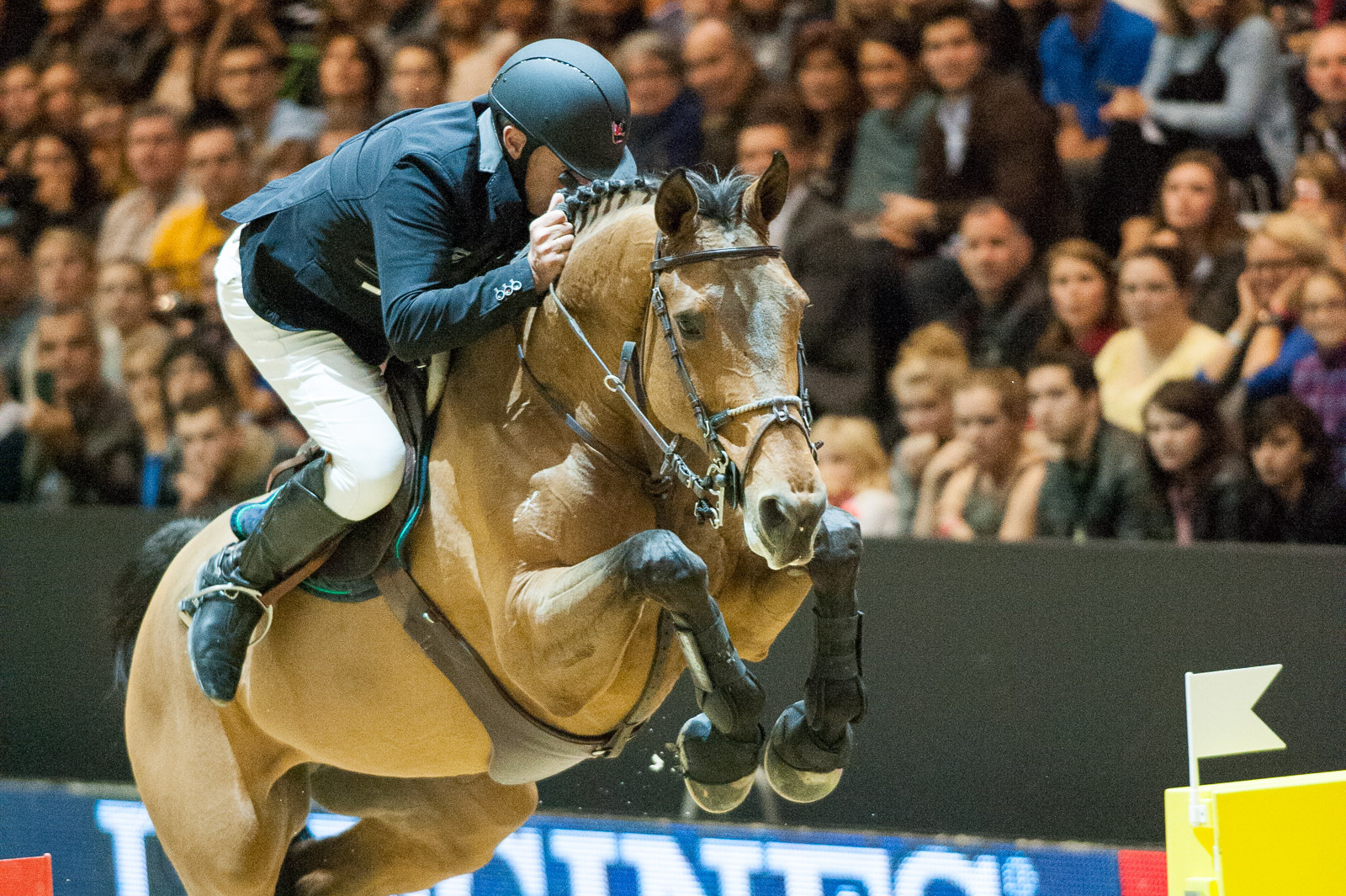 Roger Yves Bost siegt auch im Credit Suisse Geneva Classic - Reitsport ...