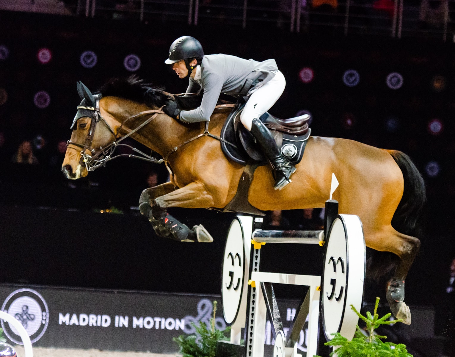 Eduardo Alvarez Aznar, Rokfeller de 3 PlevilleBois Margot - Reitsport ...