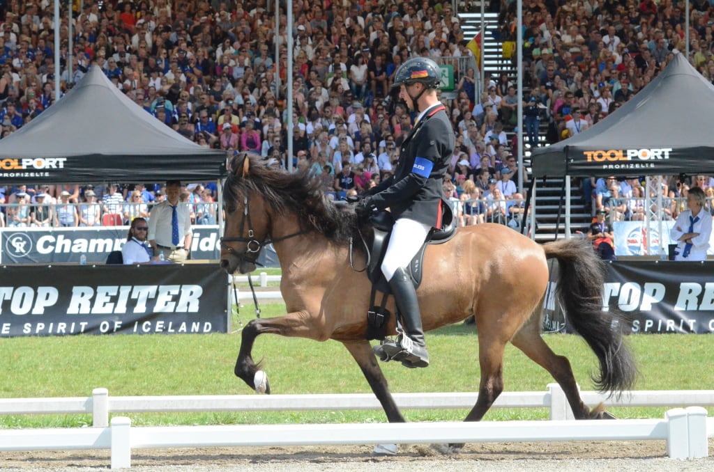 Die Island-Pferde-Weltmeisterschaft 2019 - Reitsport Portal