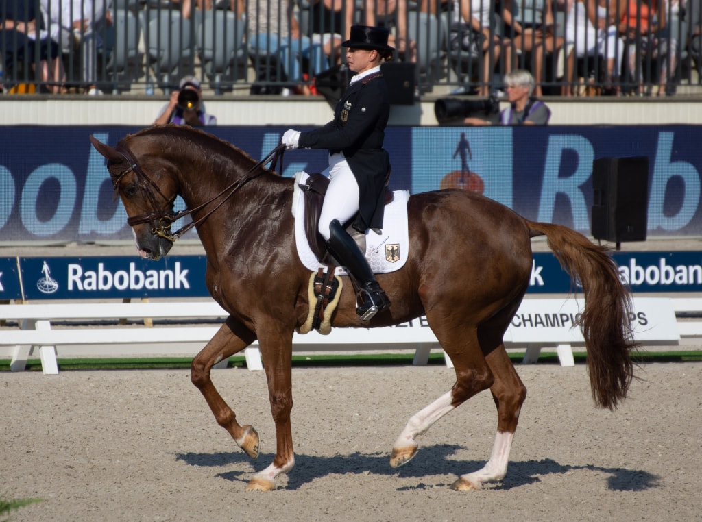 Die dritte Goldmedaille für Isabell Werth bei den European ...