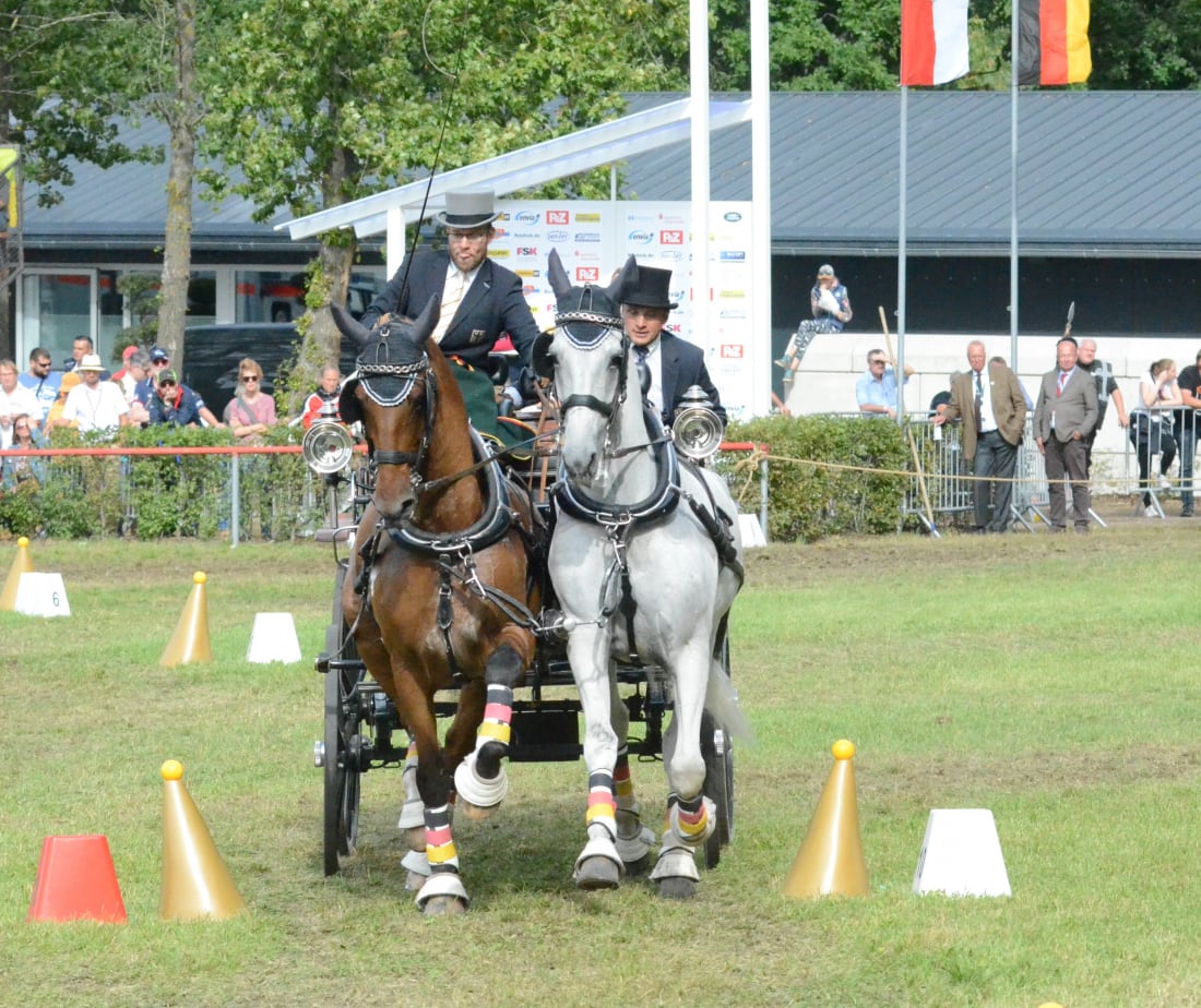 Die Zweispänner-WM in Drebkau - Reitsport Portal