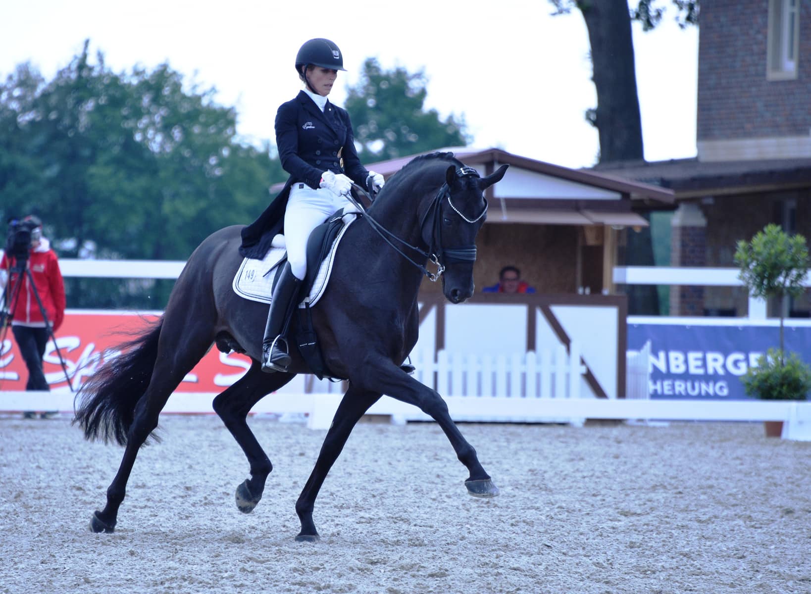 Essen Herbergen Dressurturnier 2020 - Reitsport Portal