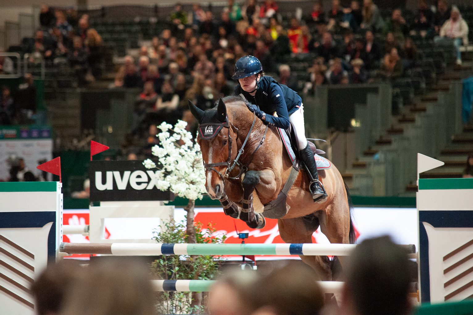 Johanna Beckmann-1 - Reitsport Portal
