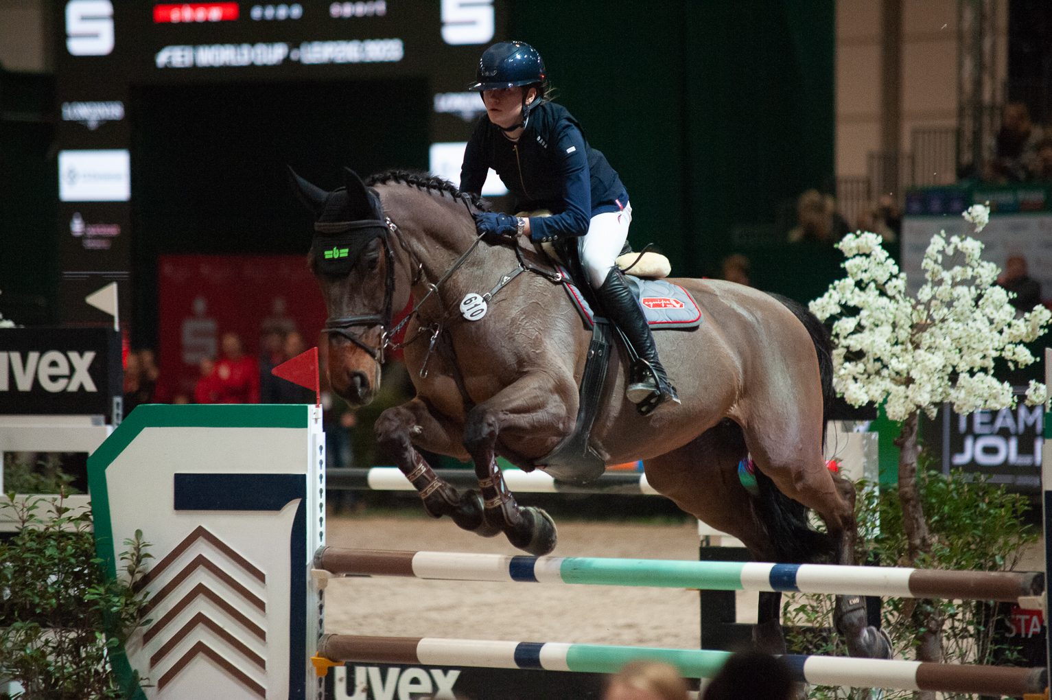 Johanna Beckmann, Szia-1 - Reitsport Portal