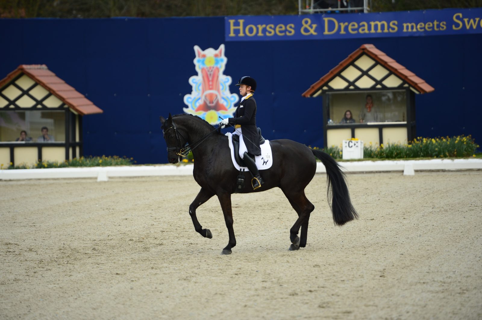 Hagen H&D 210423 Louisdor Werth, Isabell Gut Wettelkam's Chuck Bass 486 ...