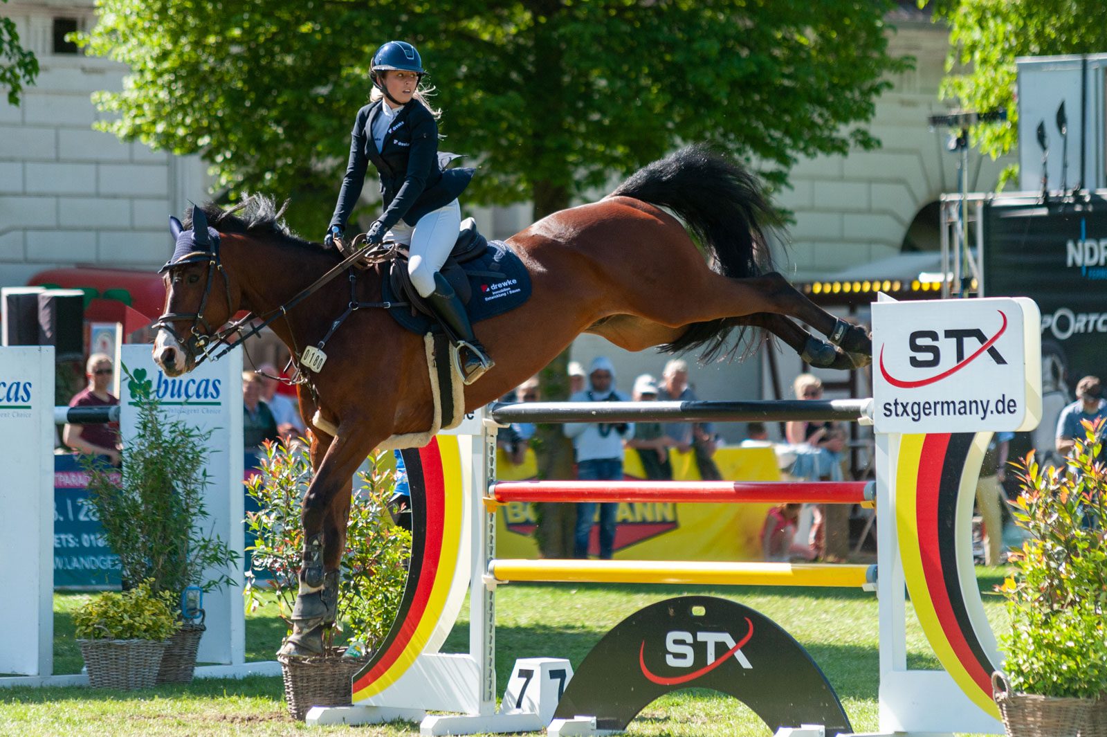Christin Wascher, Quincy 200-4340 - Reitsport Portal