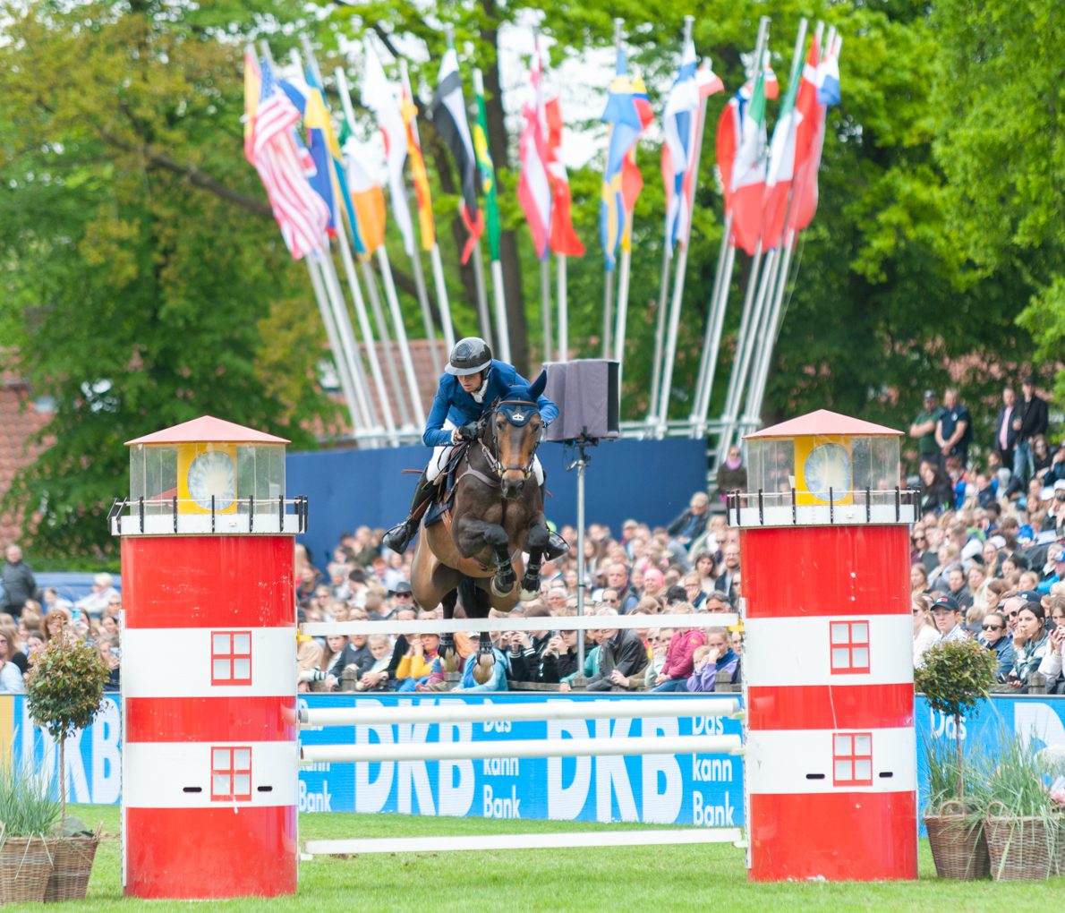 Martin Fuchs, Commissar Pezi-3628 - Reitsport Portal