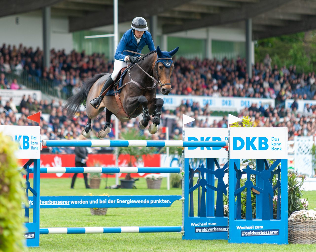 Martin Fuchs, Commissar Pezi-3642 - Reitsport Portal