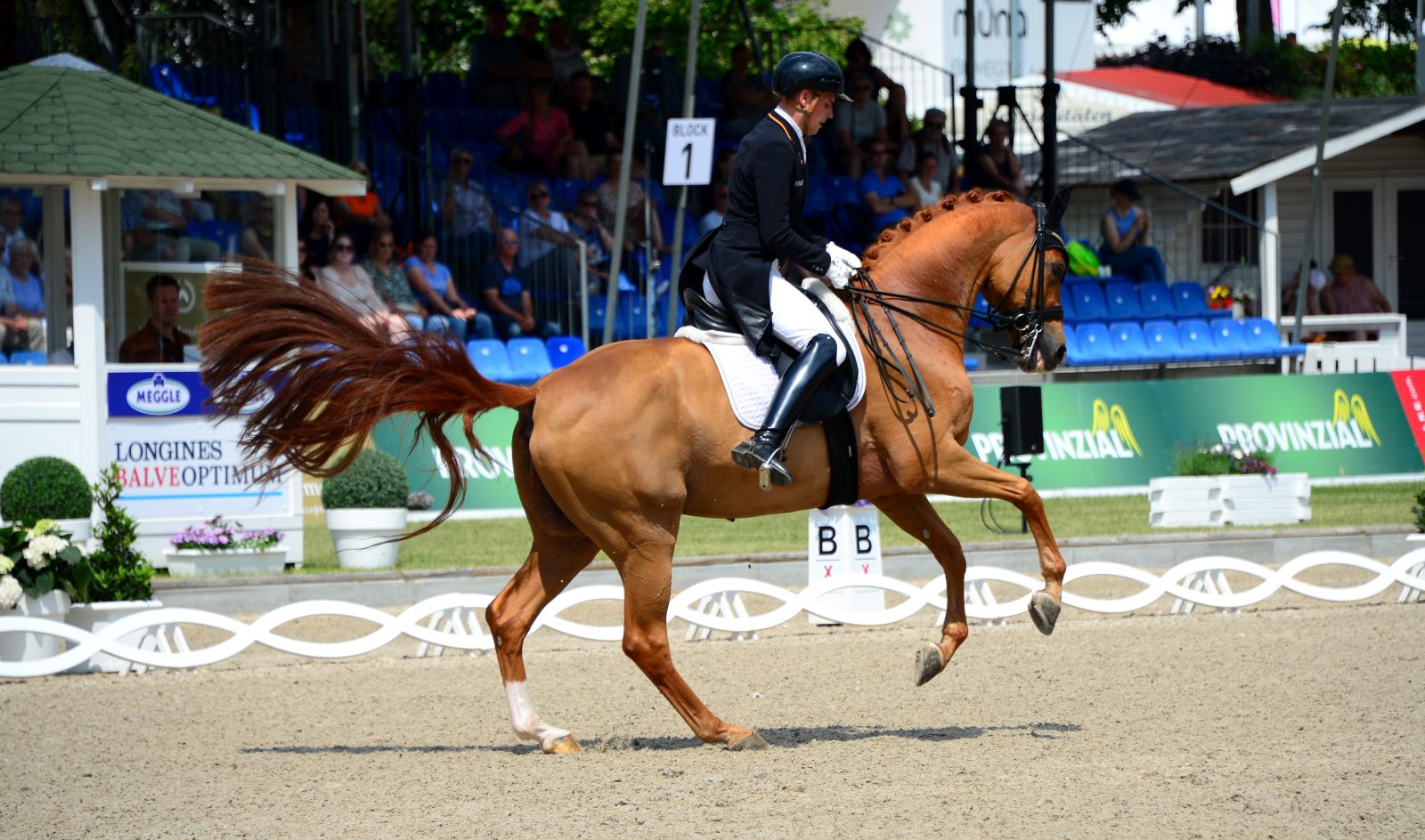 Balve DM Dressur 0623 Platz 3 Wandres, Frederic Duke of Britain 297 a ...