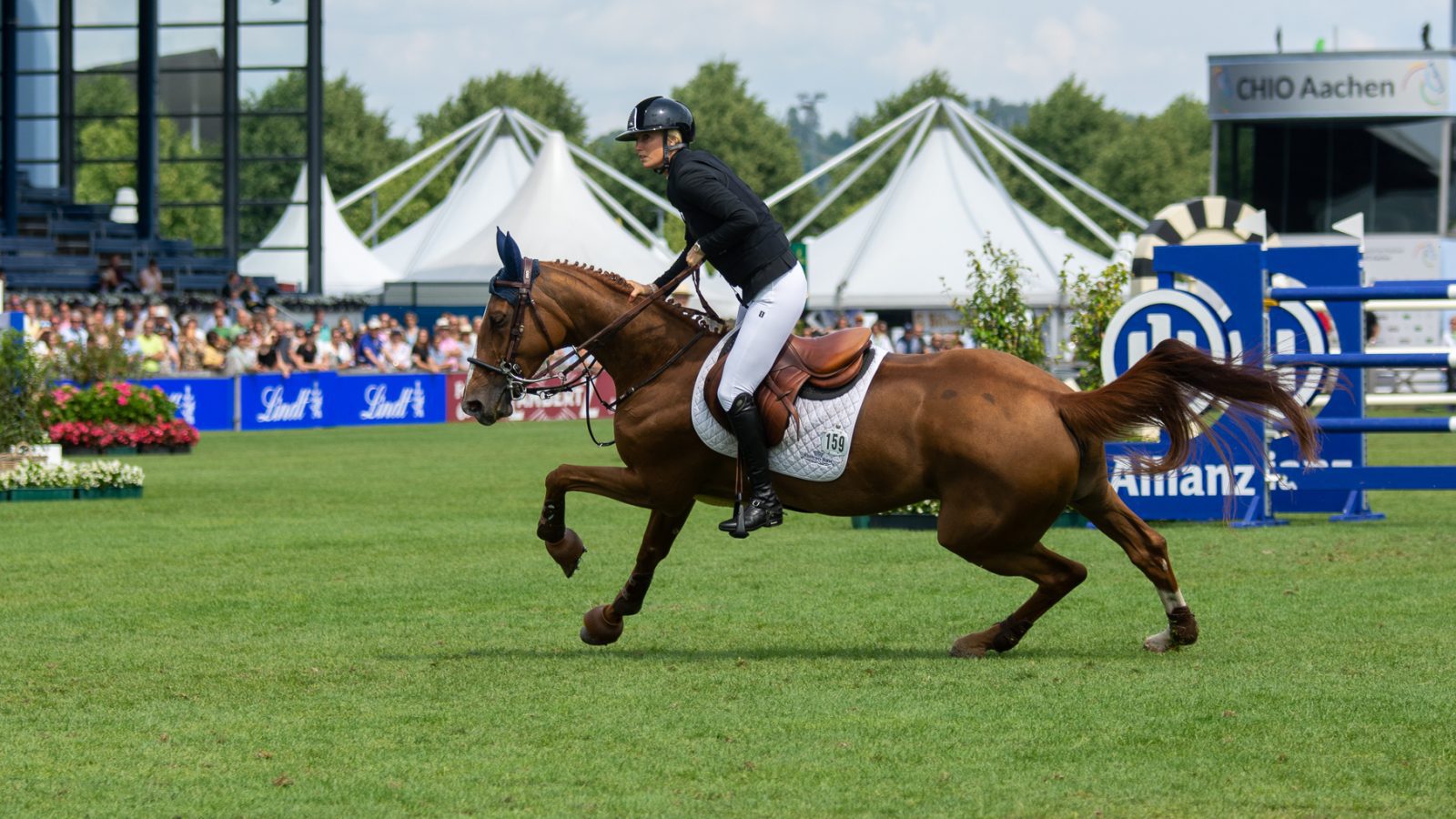 Jana Wargers and the fastest way to victory... - Reitsport Portal