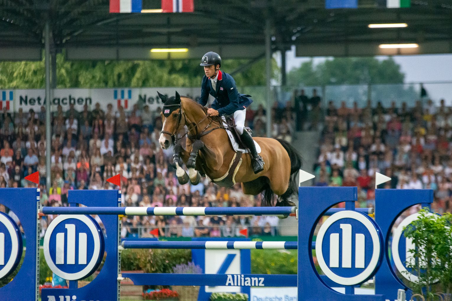 Scott Brash, Hello Jefferson-9765 - Reitsport Portal
