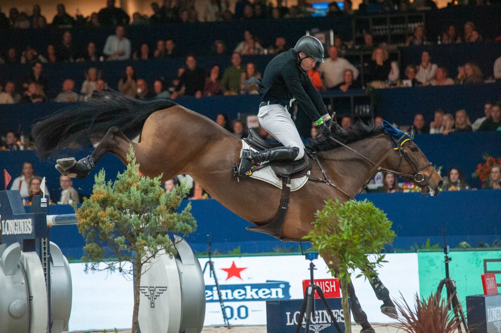 Daniel Coyle macht es zum zweiten Mal!! Sieg in Amsterdam mit Legacy ...