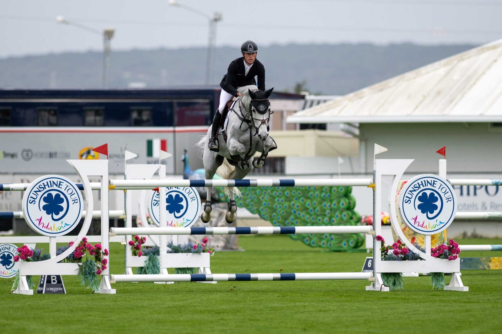Scott Brash und Hello Valentino - die Sieger im Stephex Grand Prix von ...