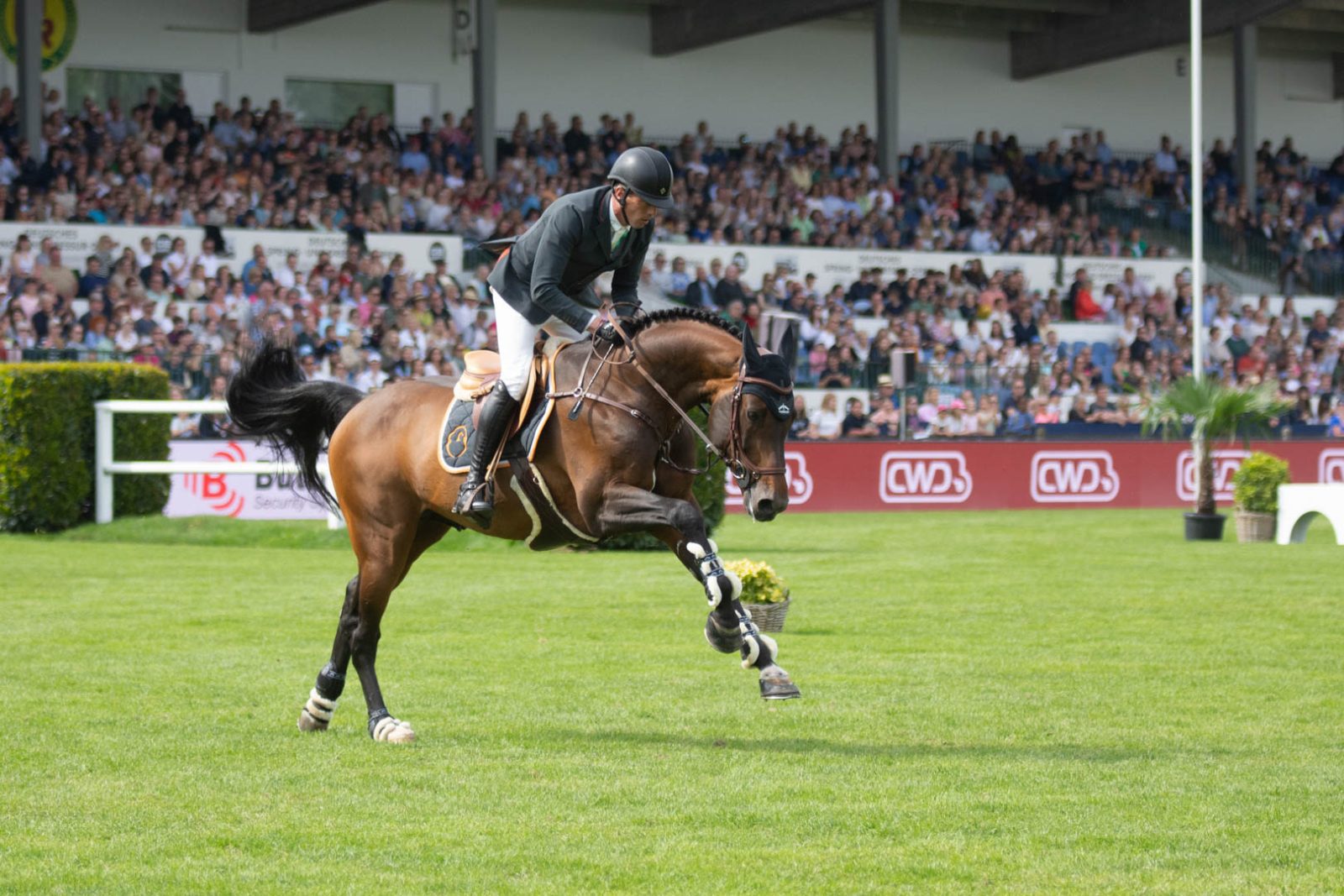 Harrie Smolders gewinnt mit Mister Tac das Championat beim AL SHIRA`AA ...