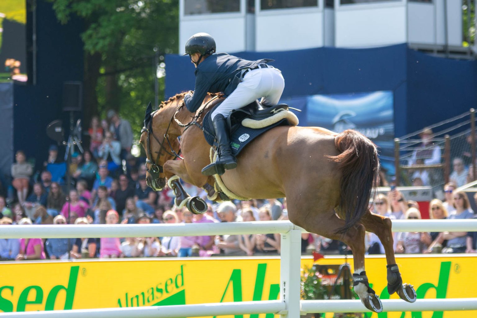 Marvin Jüngel feiert mit Balou's Erbin seinen zweiten Derbysieg ...
