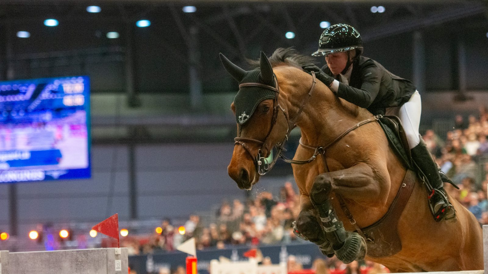 Zascha Nygaard Lill siegt bei Horses & Dreams meets the Netherlands ...