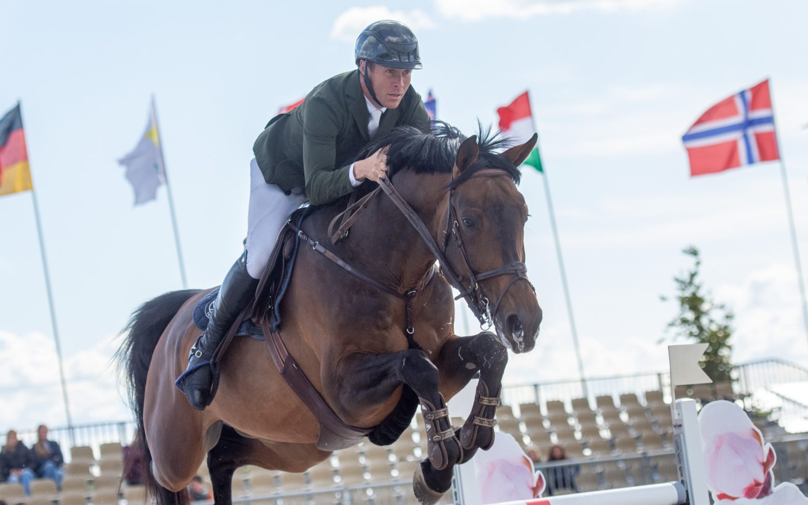 Wenn er will, gewinnt David Will... - Reitsport Portal