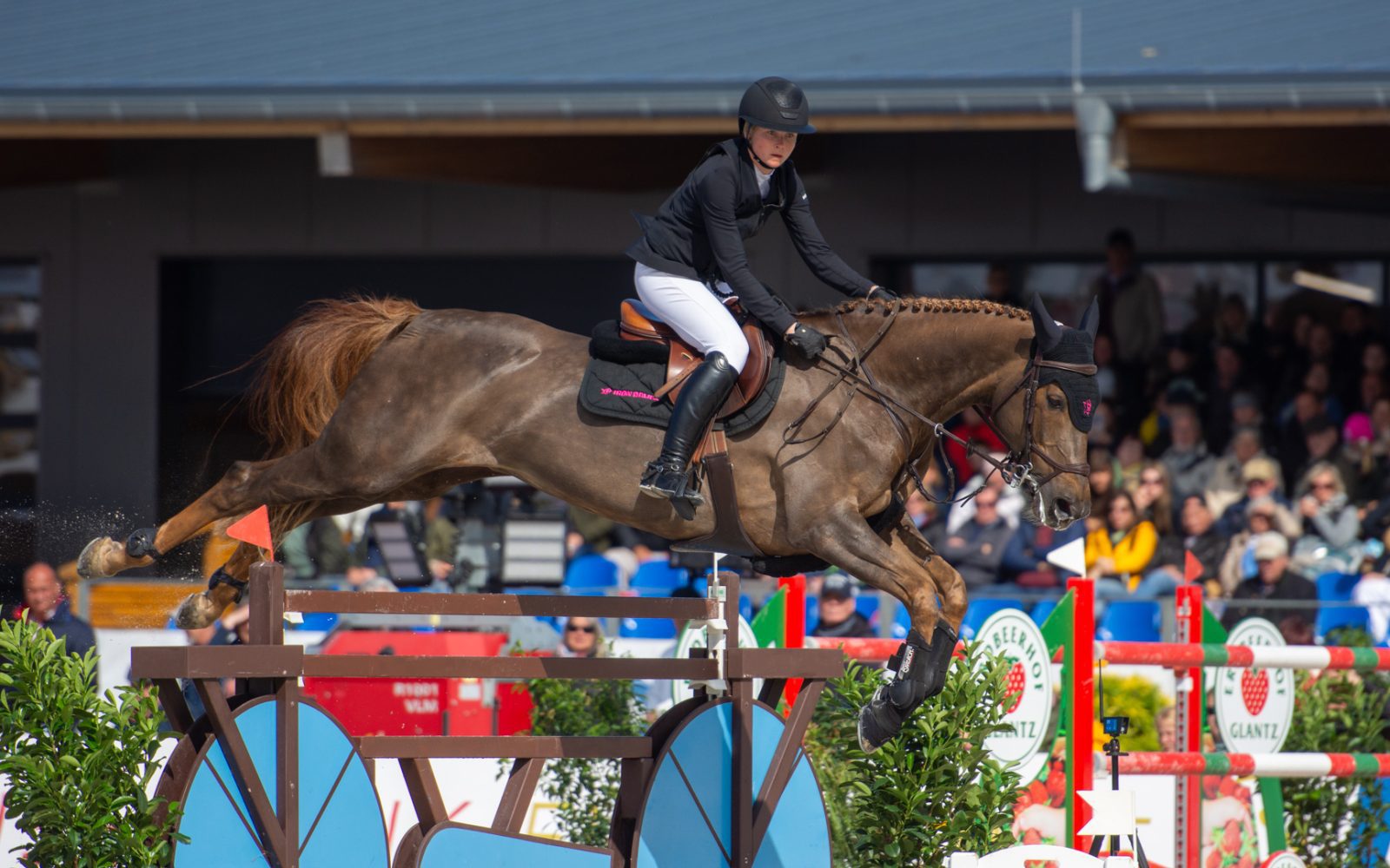 Europameisterschaften im Springreiten 2025 in La Coruna - die Longlist der deutschen ...